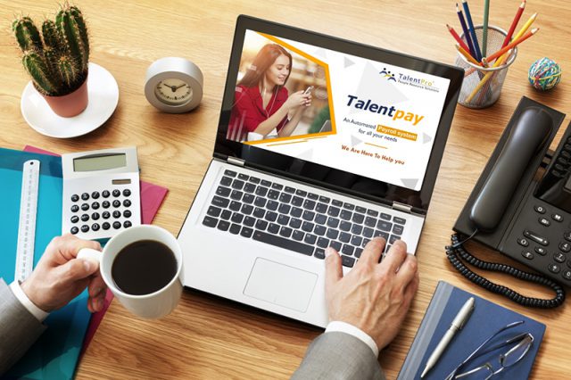 The Key Roles and Responsibilities of a Payroll Administrator ...